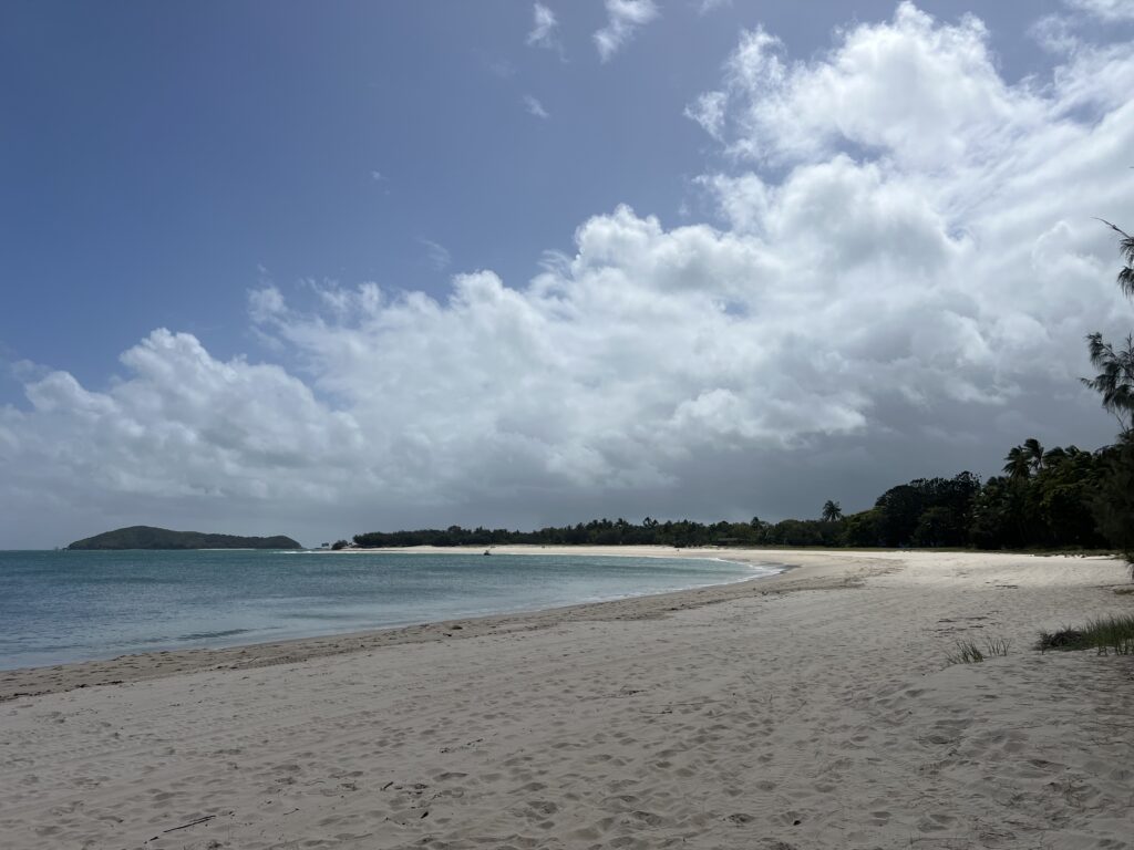 Dog-Friendly Great Keppel Island: A Pawesome Day Trip