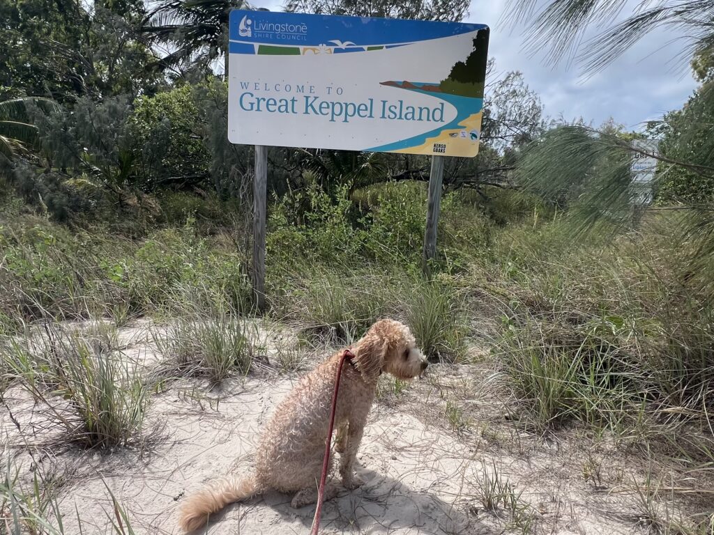 Dog-Friendly Great Keppel Island: A Pawesome Day Trip