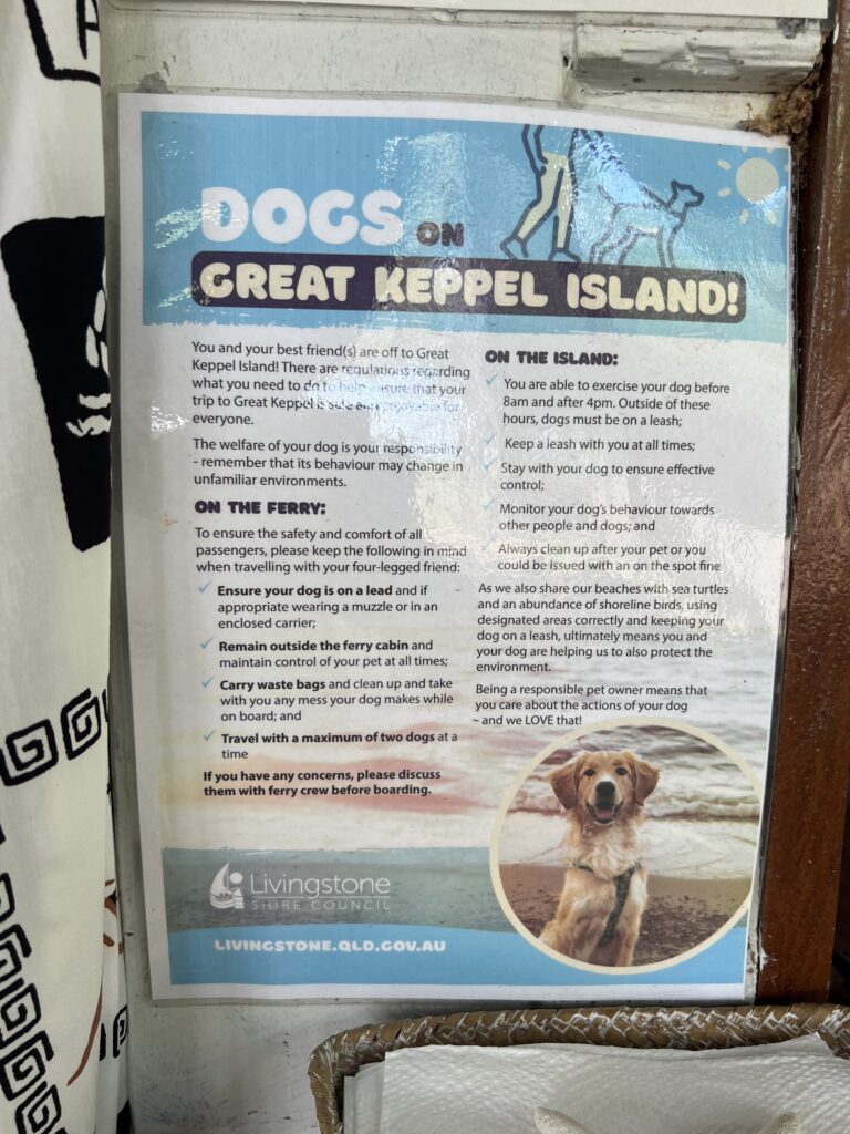 Dog-Friendly Great Keppel Island: A Pawesome Day Trip