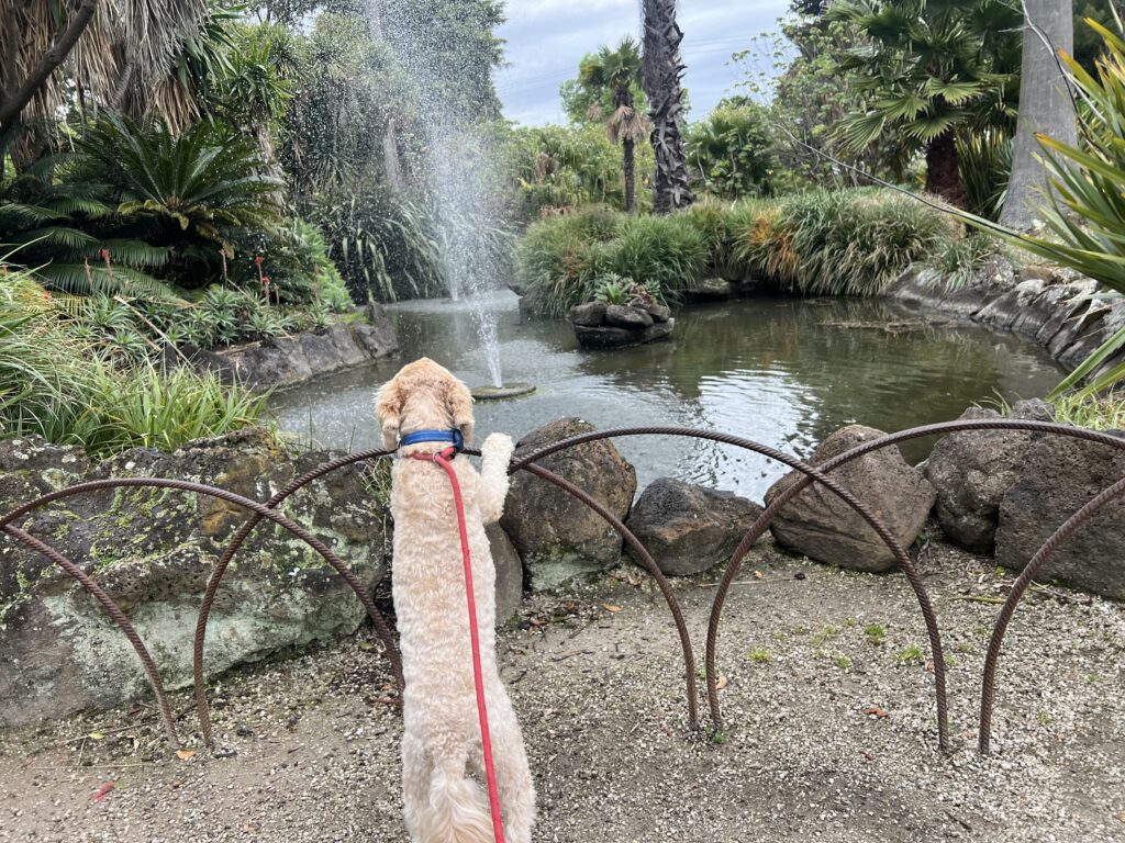 Williamstown Botanic Gardens, Williamstown - Ruff Ruff Reviews